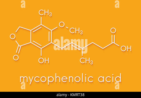Mycophenolate (mycophenolic acid) immunosuppressive drug molecule. Used ...