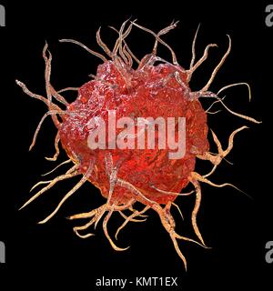 Dendritic cell, computer illustration. A dendritic cell is a type of ...