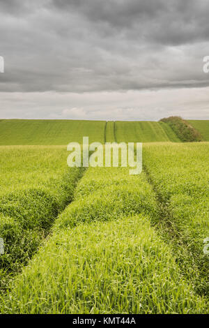 Green Countryside Scenery with Dark Unsettled Sky - Dreamy Location ...