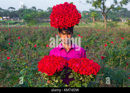 Golap Gram(Rose Village) is one of the beautiful place in Bangladesh ...