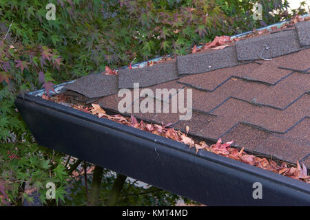 Gutters on shingle roof without gutter guards, clogged with leaves from ...