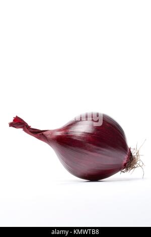 One fresh red onion on white background Stock Photo - Alamy