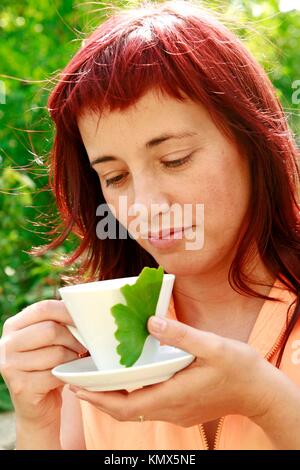 Ginkgo infusion Ginkgo biloba Stock Photo - Alamy