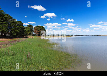 The picturesque Lake Learmonth is home for many bird species,the ...