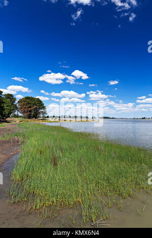 The picturesque Lake Learmonth is home for many bird species,the ...