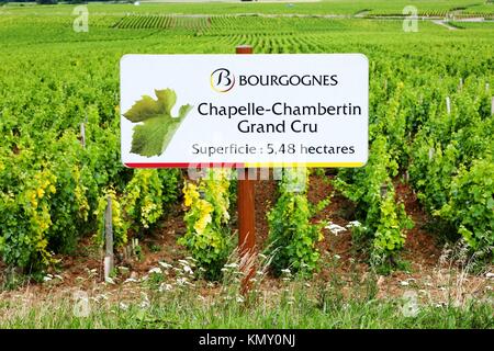 grand cru vineyard of Chapelle-Chambertin, Cote de Nuits, Burgundy ...