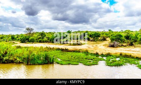 Landscape along the Olifants River near Kruger Park and Phalaborwa on ...