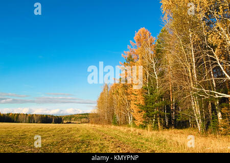 Autumn landscape sloping meadow on a background of forest and mountains ...