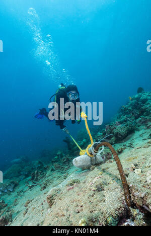 scuba diver with safety rope in ice hole on a frozen lake Stock Photo ...