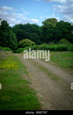 A windy lane in the British countryside Stock Photo - Alamy