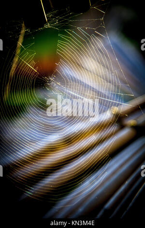 Close up view of the strings of a spiders web. Spider web with colorful ...