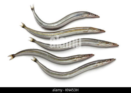 Lesser sand eels on white background Stock Photo - Alamy