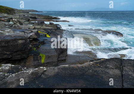 Tetrapod footprints, Valentia Island, Iveragh Peninsula, County Kerry ...
