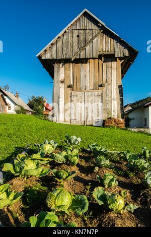 Retje village, Loski Potok, Slovenia Stock Photo - Alamy