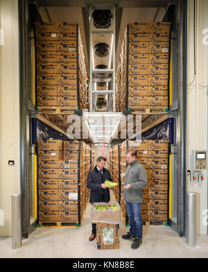 Stefan Worm, leader of Edeka Fruchtkontor Nord, presents ripened ...