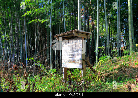 Totoro Forest No.4 in Sayama Hills in Tokorozawa city Saitama Japan ...
