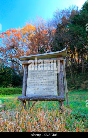 Totoro Forest No.10 in Sayama Hills in Tokorozawa city Saitama Japan ...