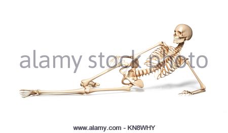 Woman body, with bone skeleton and all interior organs superimposed ...