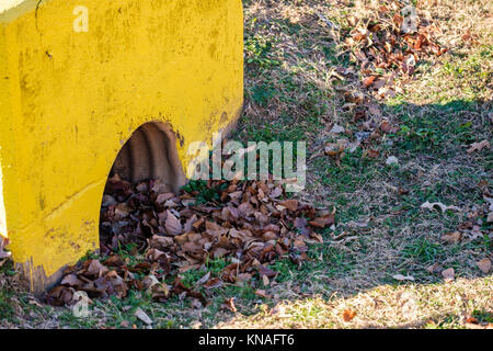 A yellow drainage concrete surround enclosing a tin whistle culvert ...