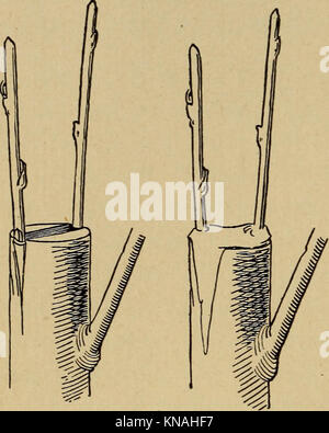 "Laboratory lessons in general science" (1916 Stock Photo - Alamy