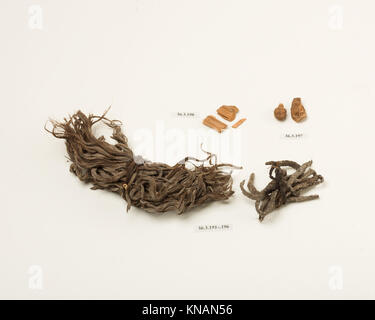 This collection of 23 plant tubers, part of the MET collection, offers ...