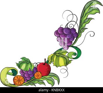 Grapes fruit isolated red lines Stock Vector Image & Art - Alamy