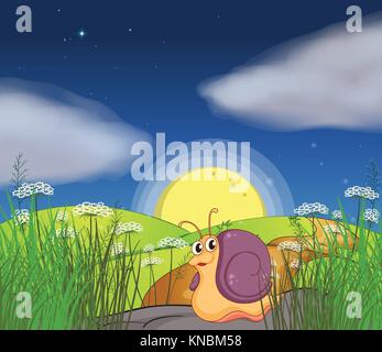 moon snail shell Stock Vector Image & Art - Alamy
