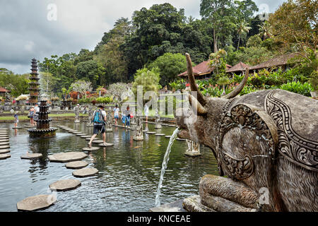 The lush greenery of Indonesia garden with fountain, covered with ...