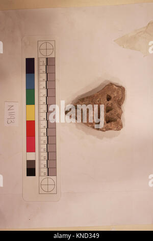 This fragment, part of a larger object, reveals key insights into the ...