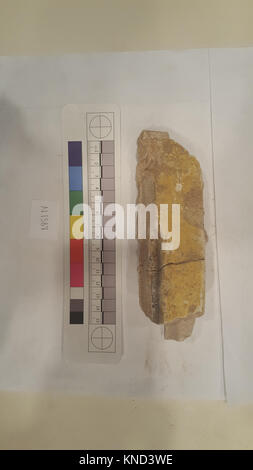 This fragment, possibly part of a larger work, offers insight into ...