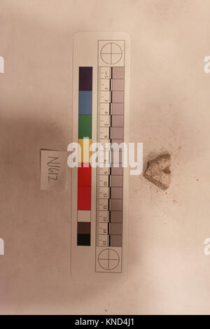 This fragment represents a piece of a larger object, offering insight ...