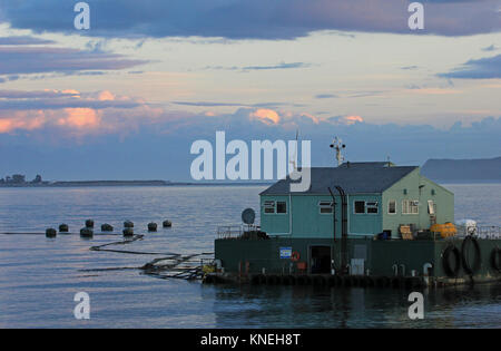 Fish Farm - Chiloe Island - Chile Stock Photo - Alamy