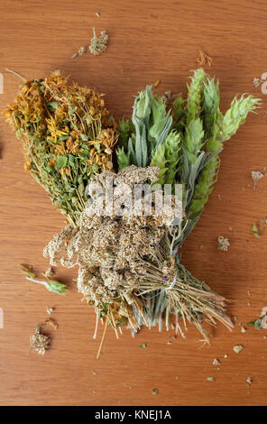 Dried herbs Hypericum perforatum on white background Stock Photo - Alamy
