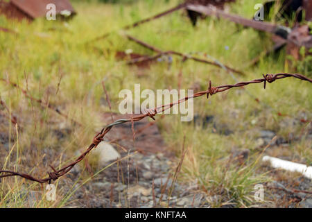 Remains of the Butugychag gulag camp in the Kolyma mountains, north ...