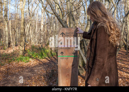 Girl looking at waymarker signpost in Broxbourne Woods, National Nature ...