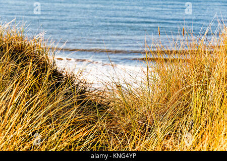 Sylt (Germany): Sea, surf and dunes; Dünen und Strand auf Sylt Stock ...