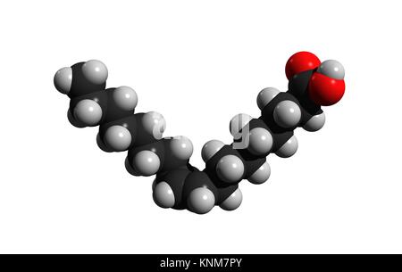 Oleic acid omega-9 fatty acid, molecular model. Oleic acid is the main ...