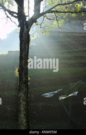 Palenque, Cross group Temples, Mayan archaeological ruin, Chiapas ...