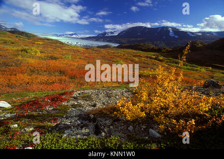Tustumena Glacier and alpine tundra Alaska Stock Photo - Alamy