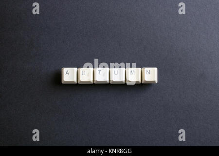 Knowledge is the key to success written on vintage old book Stock Photo - Alamy