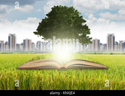 Tree growing from the old books, Education and knowledge concept Stock ...