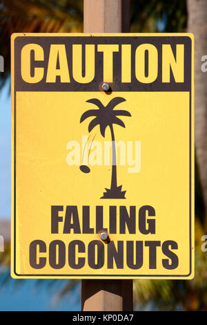 Caution falling Coconuts sign, Dampier, Pilbara, Western Australia ...
