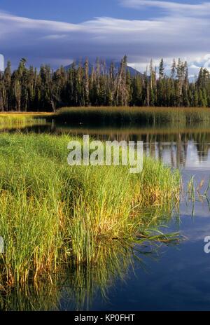 Little Lava Lake, Cascade Lakes National Scenic Byway, Deschutes ...