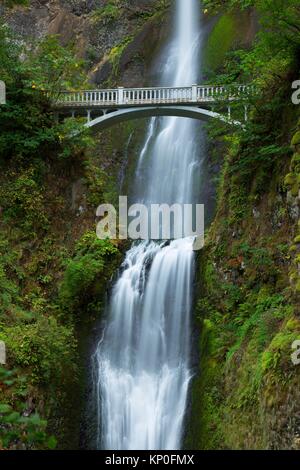 Multnomah Falls with Benson Bridge, Historic Columbia River Highway ...