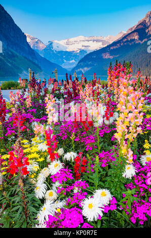 Flower display in front of Chateau Lake Louise, Banff National Park ...