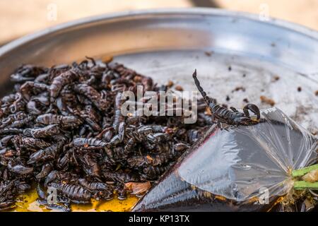 Deep fried scorpions for sale in the Night Market Wangfujing Street ...