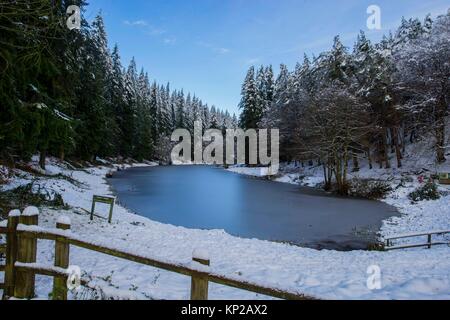 Soudley Ponds in Forest of Dean, Gloucestershire England UK. River ...
