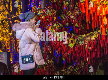 Chengdu, Chengdu, China. 7th Dec, 2017. Sichuan, CHINA-7th December ...