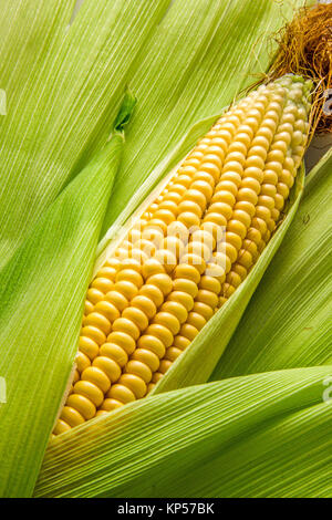 Cob between leaves Stock Photo - Alamy