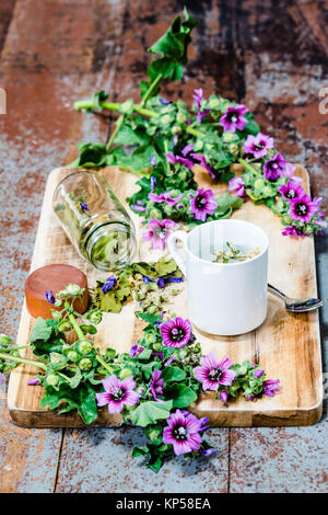 Common mallow plant herbal tea Stock Photo - Alamy